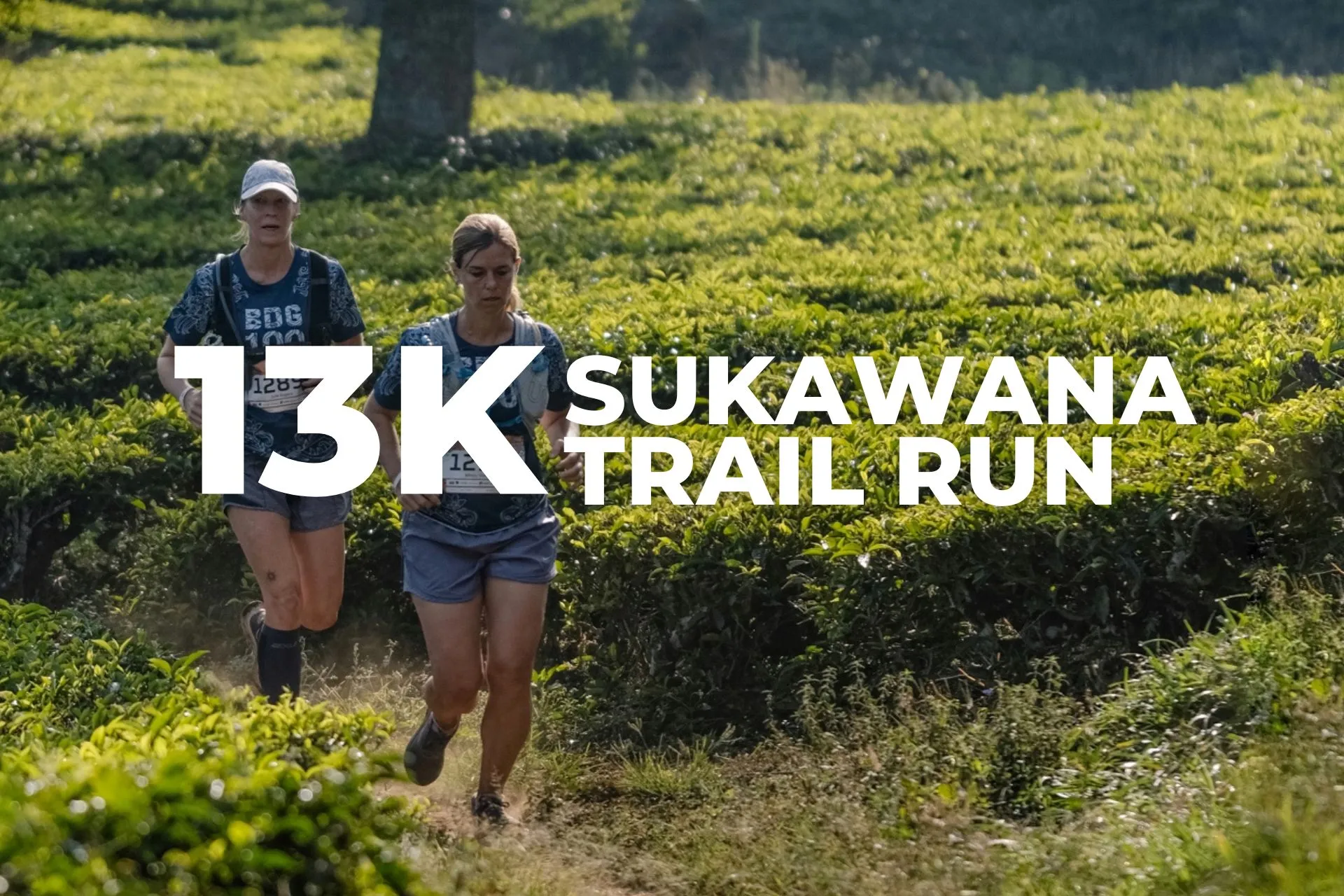 Home | BDG 100 Ultra 2025